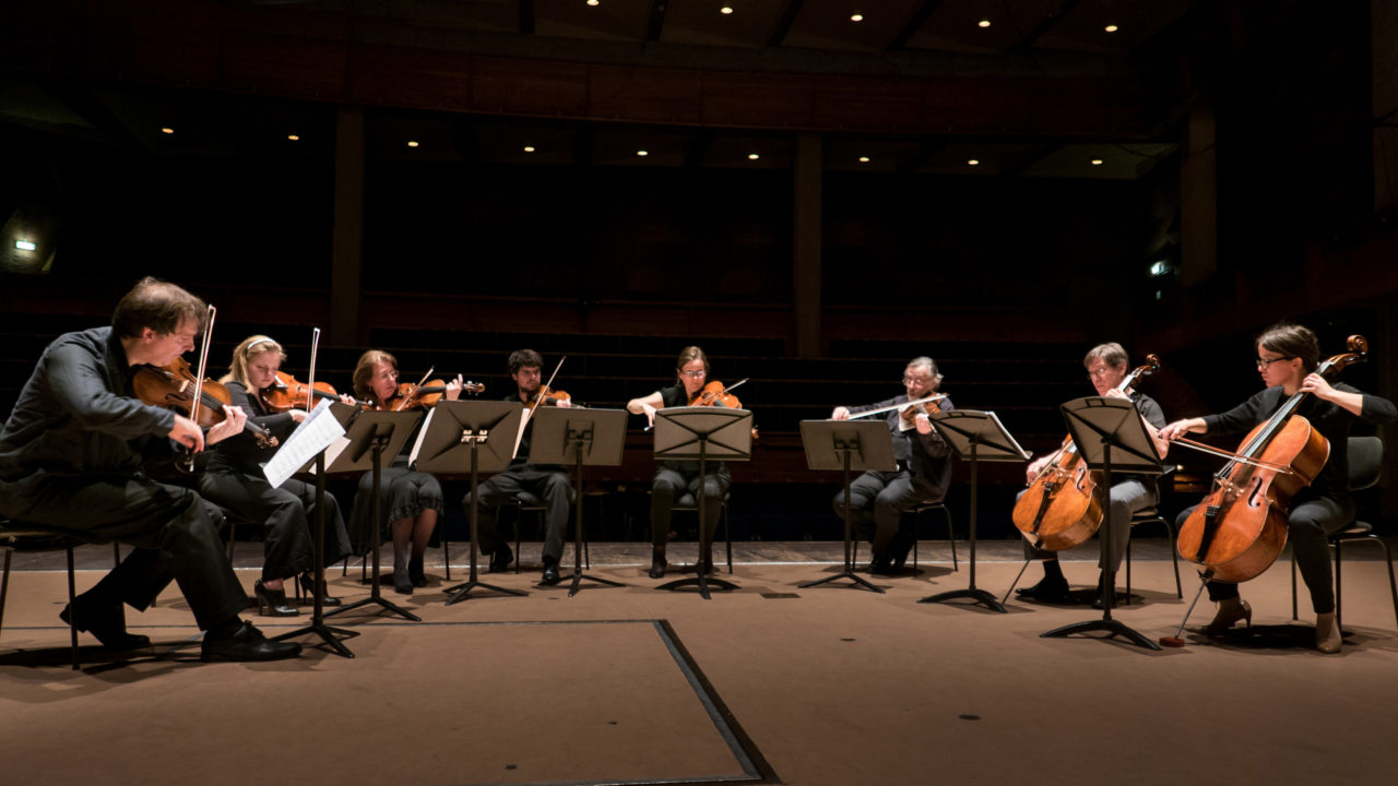 Bachelor of Classical Music, Cello |… | Royal Conservatoire The Hague